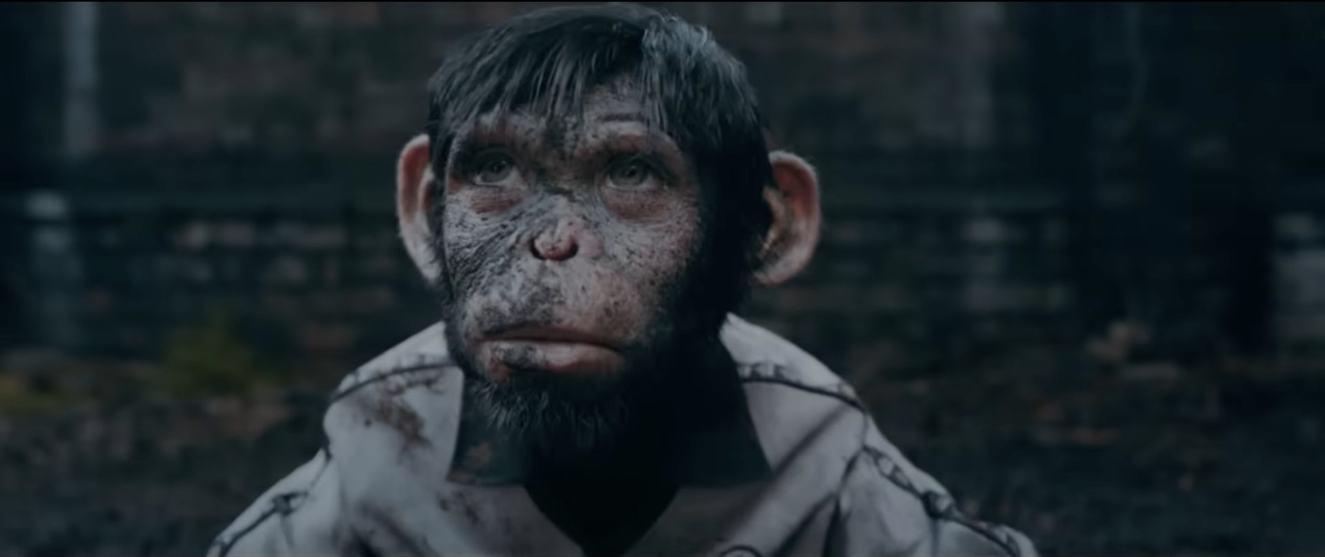 Robbie Williams' Life Explored Through CGI Ape in 'Better Man' - mxdwn ...